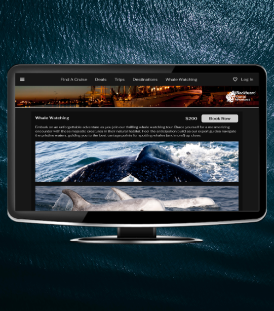 blackbeard-coastal-adventures